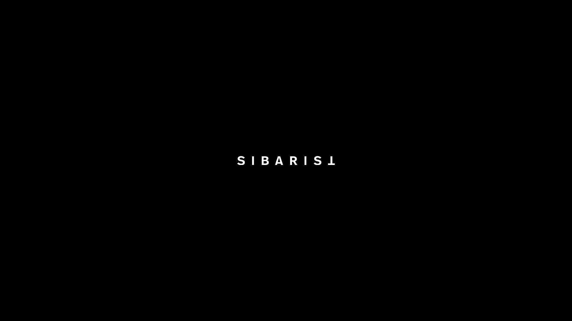 Products – SIBARIST